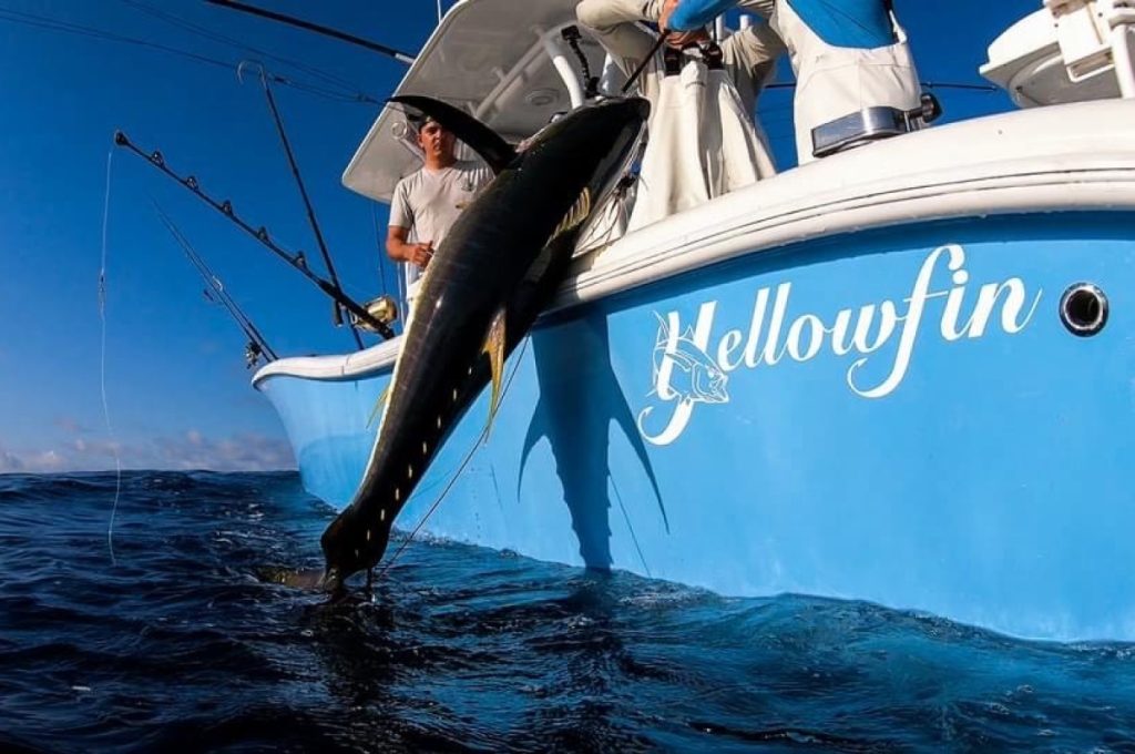 Yellowfin Owners Group - Yellowfin